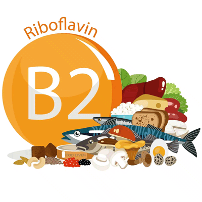 Riboflavin | EnergyVital Naturprodukte GmbH