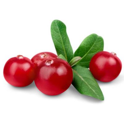 Cranberry | Kaufen bei EnergyVital Naturprodukte GmbH