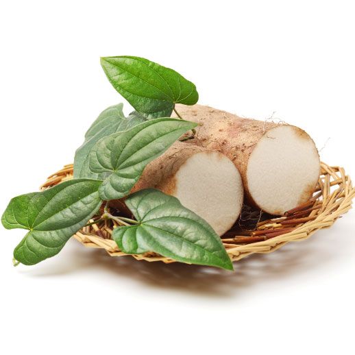 Wild Yam I EnergyVital Naturprodukte GmbH